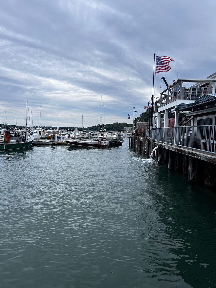 Reimagining U.S. Fisheries: From Crisis Management to Sustainable ...